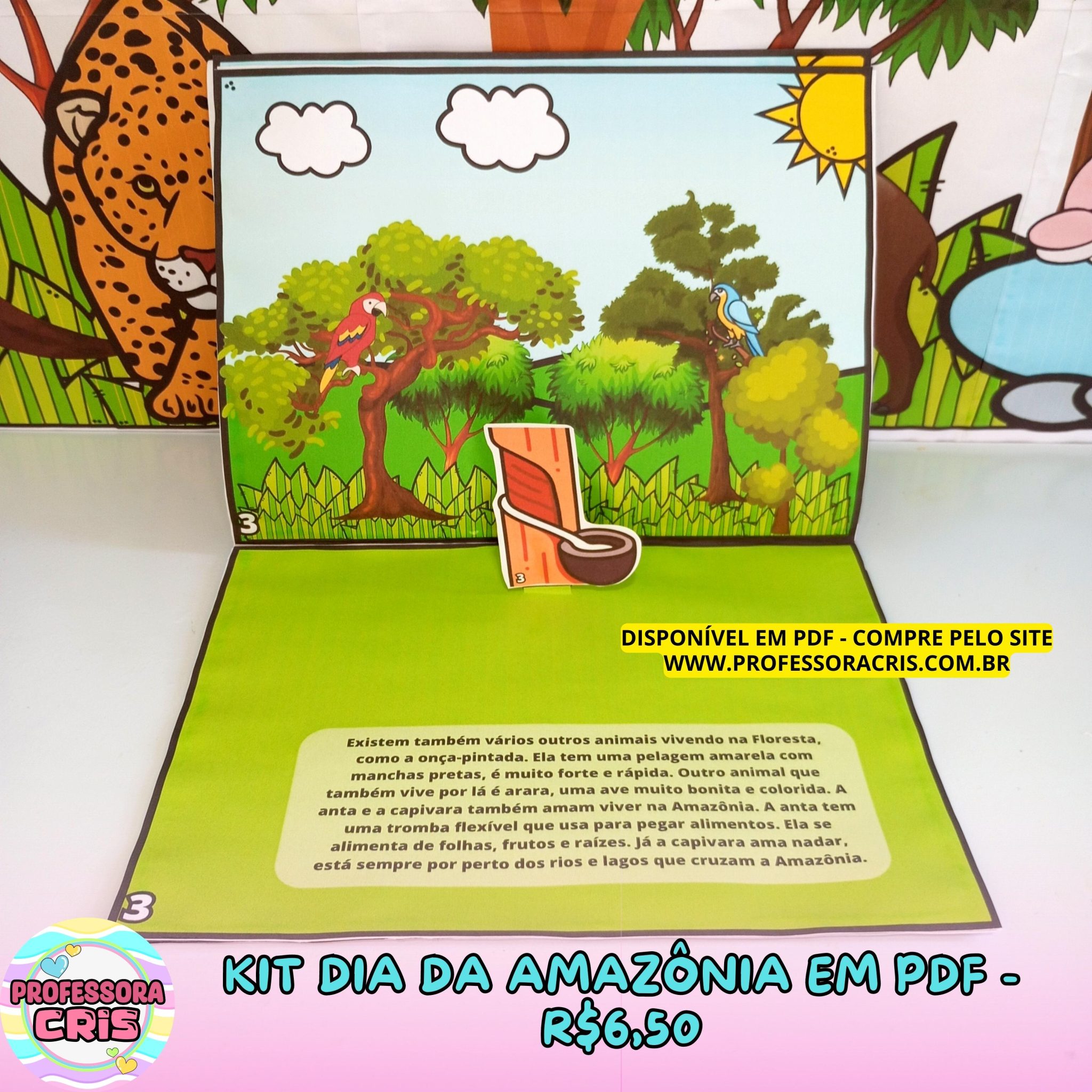 PDF KIT Dia da Amazônia – Professora Cris – Ensinando com carinho
